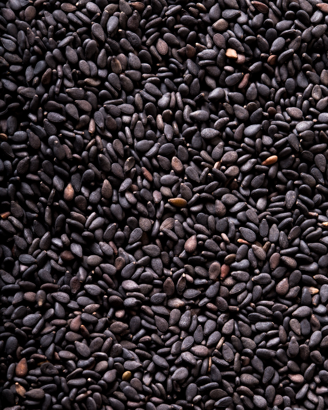 Organic Raw Black Sesame Tahini — How to Use It – Sun & Seed